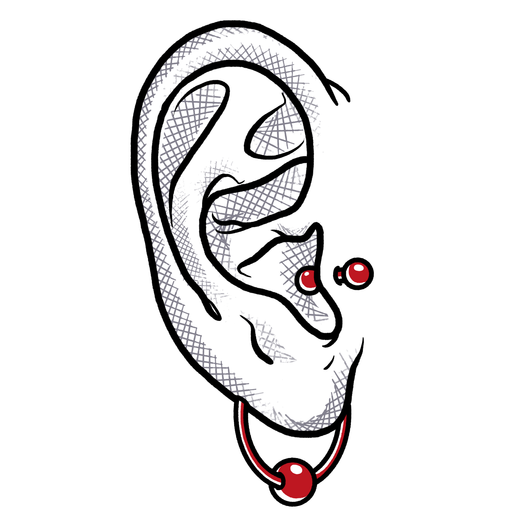 Transverse Lobe Piercing – Piercing Studio Wien