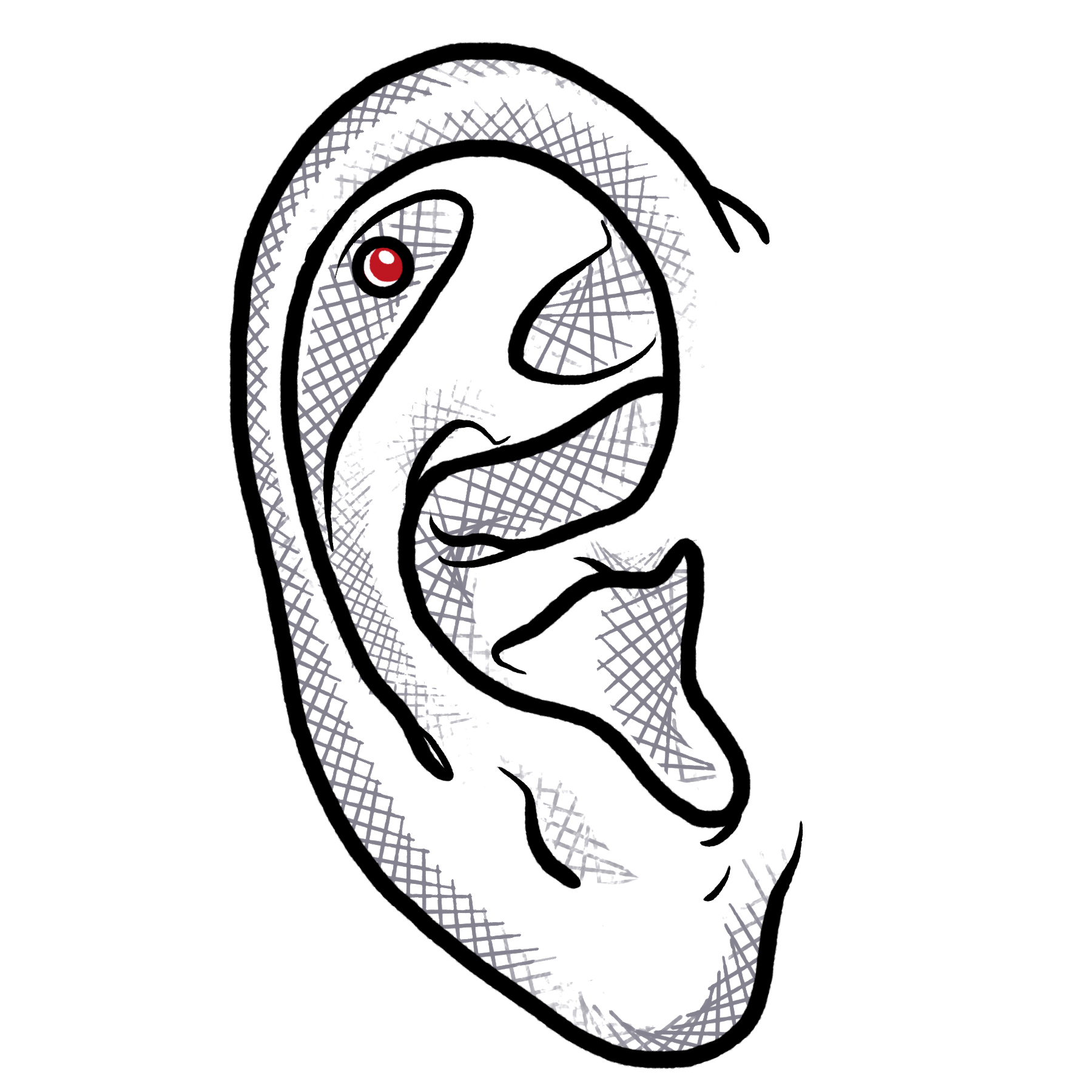 Outer Conch – Piercing Studio Wien